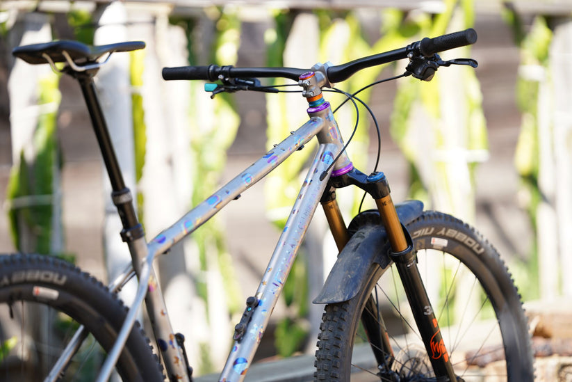 Hummingbird Ti | Titanium Hardtail Mountain Bike | Made in USA ...